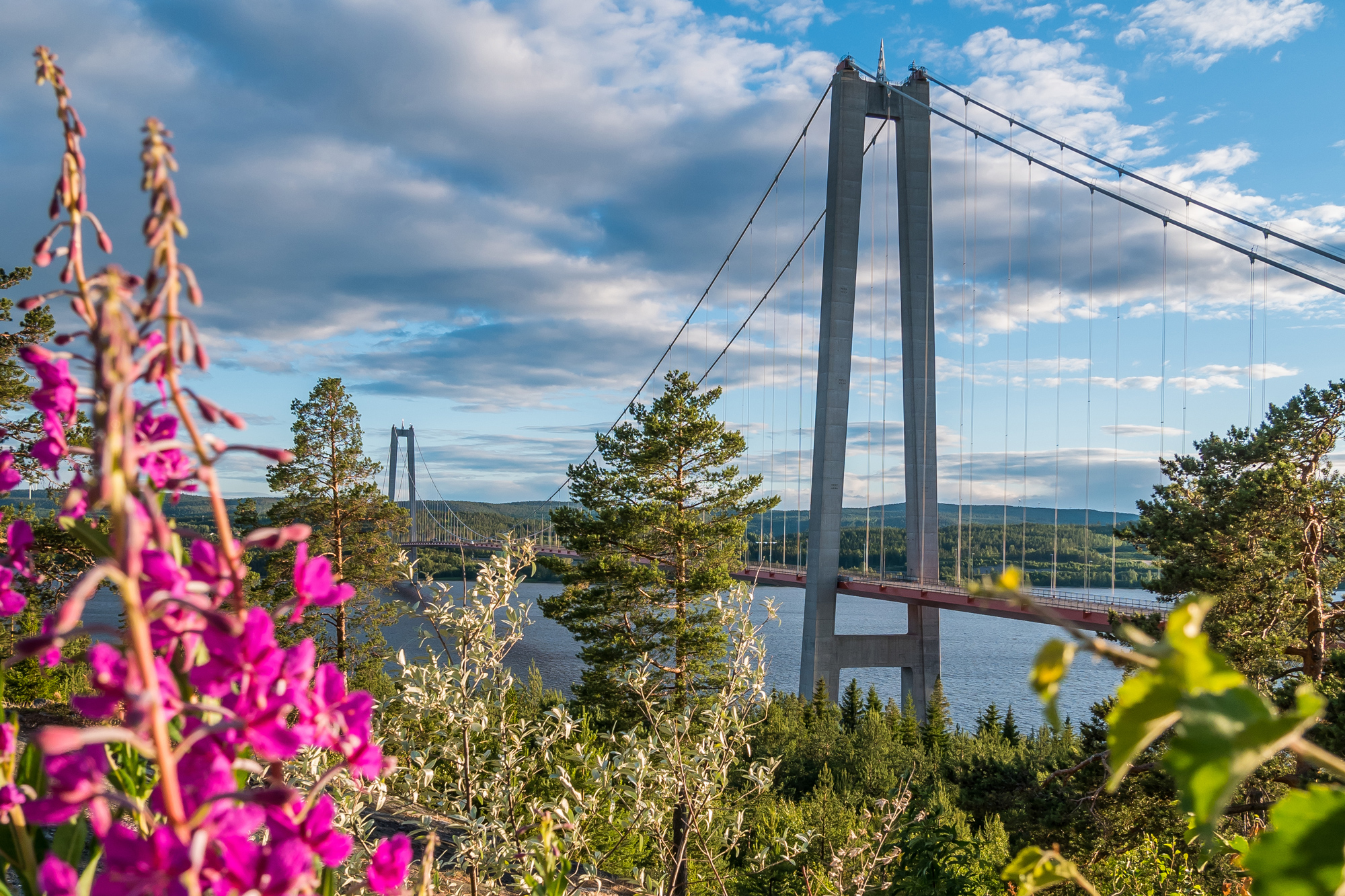 Hyra stuga i norra Sverige - Stort utbud av stugor | Camping.se